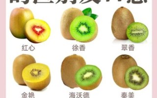 猕猴桃怎么挑选_猕猴桃的功效与作用