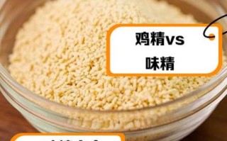 鸡精和味精哪个更健康_鸡精和味精哪个对身体更好