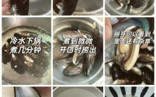 贻贝怎么清洗_贻贝蒸多久才熟