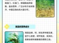海藻的功效与作用_海藻怎么吃最营养