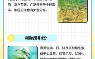 海藻的功效与作用_海藻怎么吃最营养 海藻的功效与作用_海藻怎么吃最营养