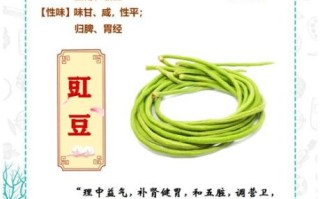 长豆角的功效与禁忌_哪些人不能吃