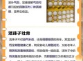 活珠子什么人不能吃_孕妇能吃活珠子吗