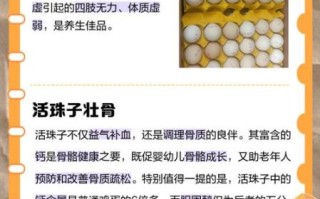 活珠子什么人不能吃_孕妇能吃活珠子吗