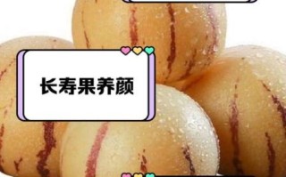 长寿果是什么_长寿果的营养价值高吗