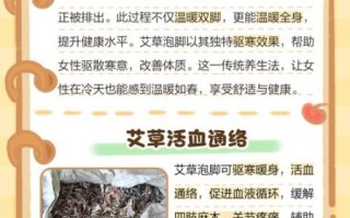 艾草的功效有哪些_艾草泡脚有什么作用