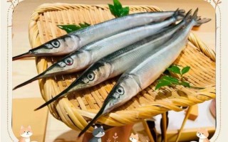 鱵鱼怎么钓_鱵鱼营养价值高吗