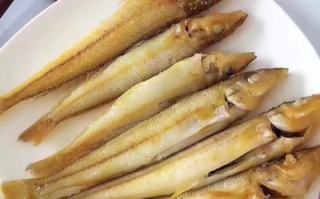 沙梭鱼图片怎么拍_沙梭鱼长什么样