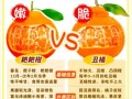 丑柑和耙耙柑的区别_哪个更好吃