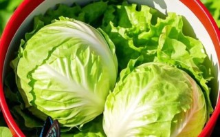 球生菜可以生吃吗_生吃球生菜安全吗