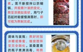 桑葚膏怎么熬制_桑葚膏的做法步骤