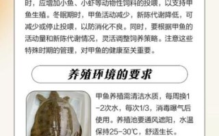 家养甲鱼吃什么食物_甲鱼饲料怎么选