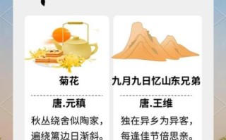 九九重阳诗词有哪些_重阳节古诗如何赏析
