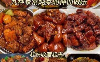 炖菜怎么炖好吃_100道炖菜做法大全