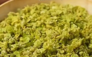 蒸榆钱的做法大全家常_榆钱怎么蒸才松软不黏