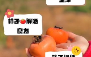 一个柿子十副药啥意思_柿子药用价值真的这么高吗