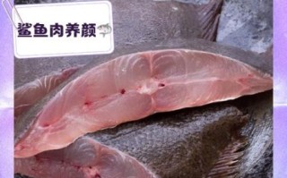 鲨鱼肉的营养价值_孕妇能吃鲨鱼肉吗