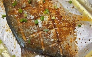 家用烤箱烤鱼的做法大全_烤箱烤鱼温度和时间怎么设置