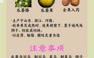 瓜蒌的功效与作用_瓜蒌怎么吃最好