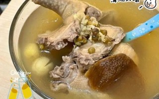 鸽子绿豆汤的做法_鸽子绿豆汤怎么炖不上火