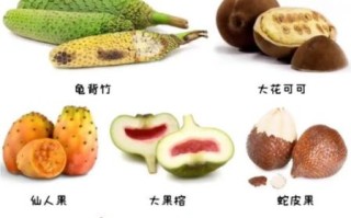 什么水果最奇特_100种奇特水果有哪些