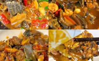 红烧甲鱼怎么做_湘菜甲鱼去腥技巧