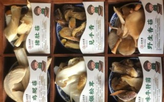 野生菌怎么做好吃_野生菌汤的做法大全