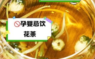 金银花菊花茶什么人不能喝_金银花菊花茶禁忌有哪些
