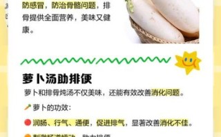 萝卜排骨汤怎么做_萝卜排骨汤的功效