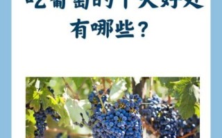 葡萄的功效与作用有哪些_葡萄营养价值高吗