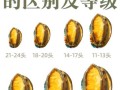 鲍鱼图片品种大全价格_如何区分不同鲍鱼等级