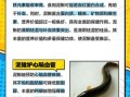男人吃泥鳅有什么好处_泥鳅对男性功效与作用