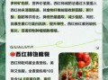 一天三餐吃西红柿能瘦8斤吗_西红柿减肥的正确吃法