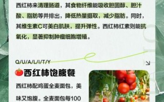 一天三餐吃西红柿能瘦8斤吗_西红柿减肥的正确吃法