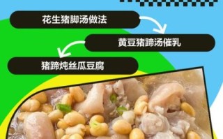 猪蹄汤怎么做下奶_猪蹄汤下奶做法