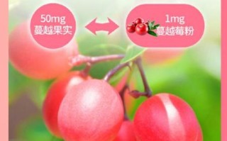 蔓越莓粉有什么作用_蔓越莓粉适合什么人吃