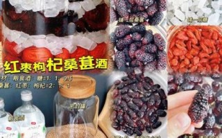 桑葚酒的做法比例是多少_桑葚酒泡多久能喝