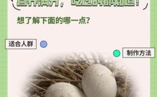 男孩吃鸽子蛋有什么好处_鸽子蛋对男孩发育真的有用吗
