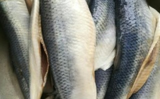 大青鱼怎么做好吃_大青鱼的家常做法