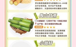 甘蔗糖的功效与作用禁忌_适合哪些人吃