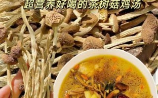 茶树菇鸡汤怎么炖好喝_茶树菇鸡汤的做法大全