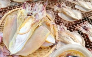 爆炒墨鱼干怎么做_墨鱼干泡发多久才软