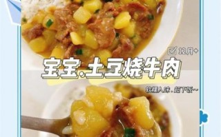 土豆牛肉盖浇饭怎么做_家常土豆牛肉盖浇饭做法