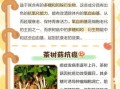 茶树菇的危害_茶树菇吃多了有什么副作用