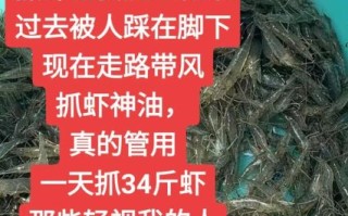 河虾怎么养才不会死_抓回来的河虾怎么养活