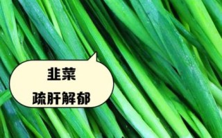 韭菜能壮阳吗_韭菜壮阳是真的吗
