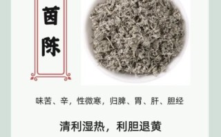 茵陈蒿汤医案_茵陈蒿汤治什么病
