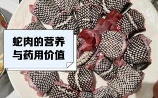 蛇肉怎么烧好吃_蛇肉做法大全