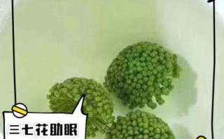 三七花降血压效果好吗_三七花怎么泡水喝