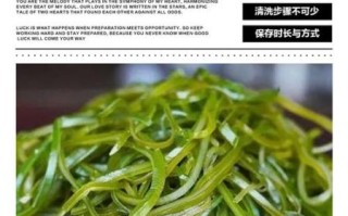 海带结要泡多久_干海带结泡发时间